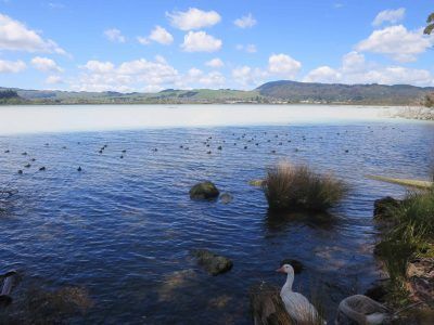 Qué ver en Rotorua - Pongamos que hablo de Viajar