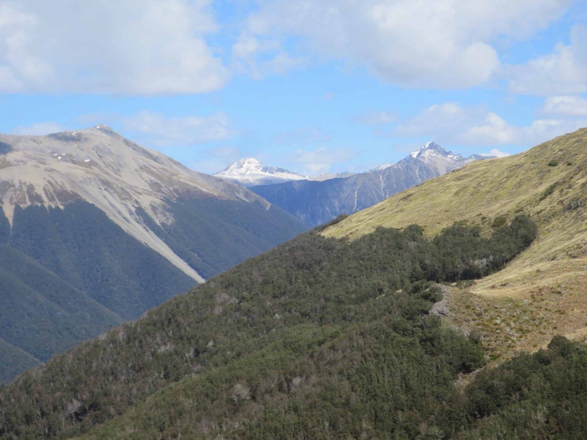 Qué ver en Nelson Lakes - Pongamos que hablo de Viajar